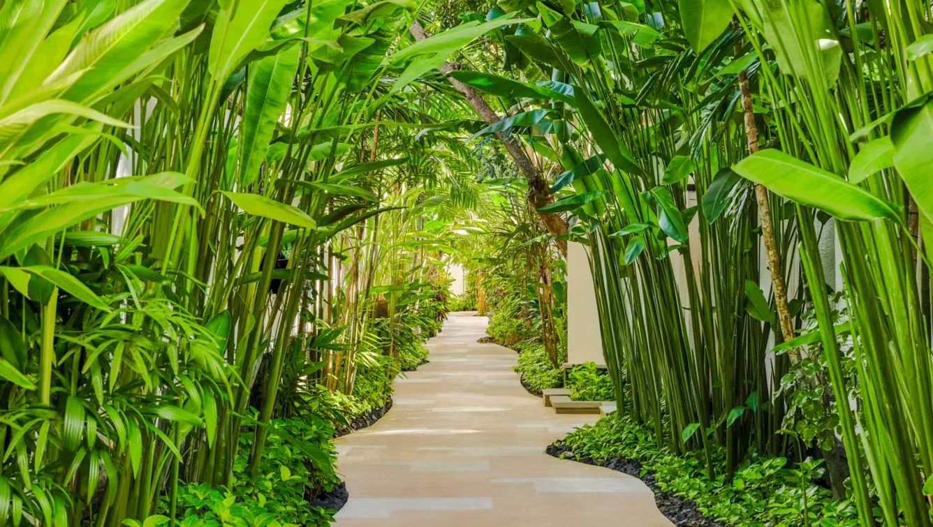 Amarterra Villas Resort | Bali Luxury Resorts | LuxeIndonesia Travel